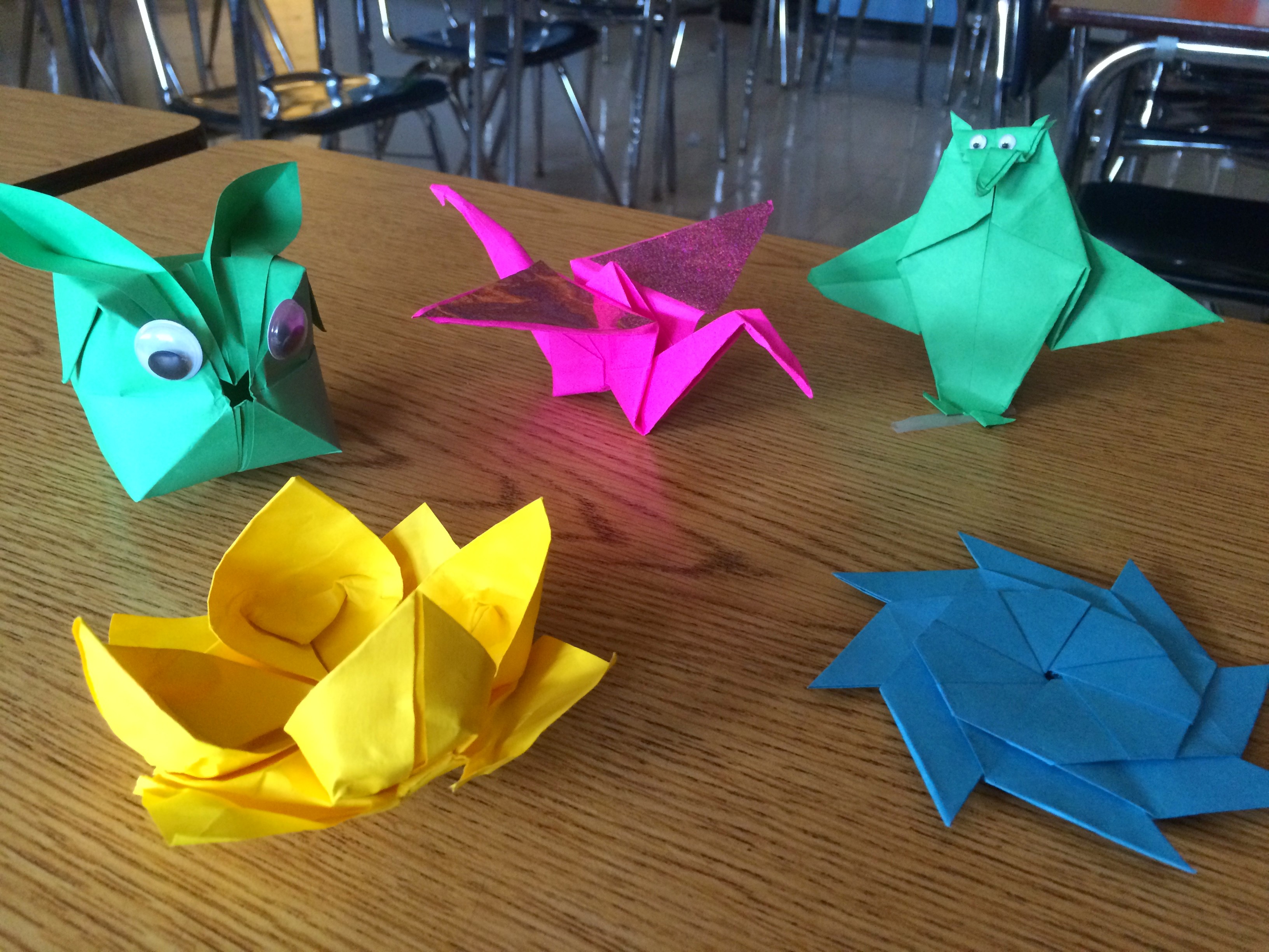 IMG_5774 | iSchoolPolymath